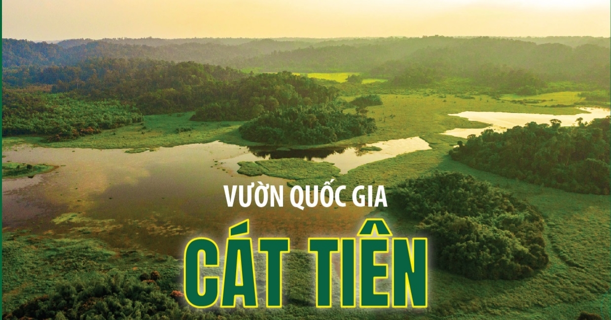Vườn quốc gia Cát Tiên nhận 4 giải thưởng quốc tế về du lịch sinh thái ...